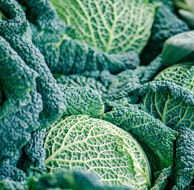 Fixer la couleur des légumes - Conseils Bio