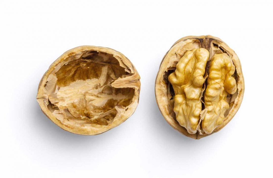 Comment décortiquer des noix facilement ? - Conseils Bio